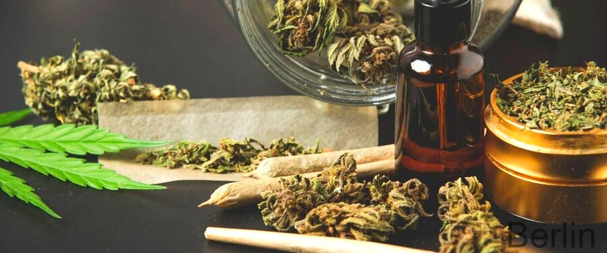 Die 7 besten Cannabisläden in Berlin